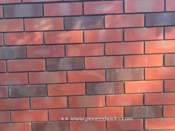 Project by Architect Hafeez Contractor in Goa - Pioneer Bricks