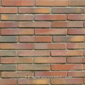 Architectural Brick | Driveway Tiles India | Bricks Design on Wall