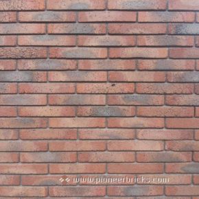 Sleek-Textured collection | Cladding | Brick Tiles | Pioneer Bricks
